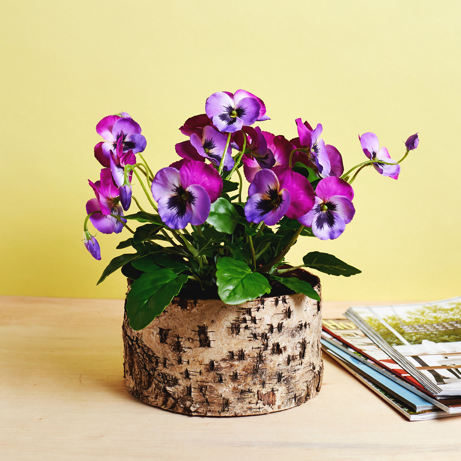 Bayou Breeze Pansy Floral Arrangement in Planter - Wayfair Canada