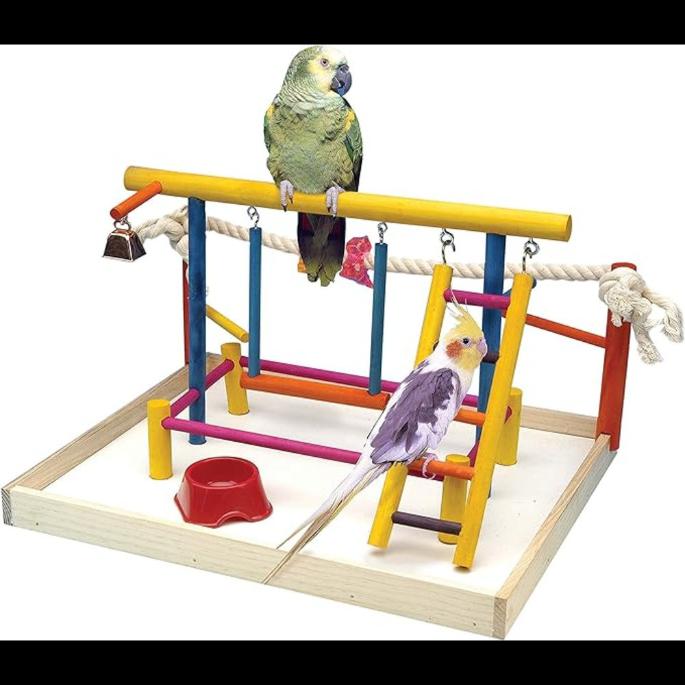 Cozy Oasis 15" Wood Bird Play Gym for Floor | Wayfair