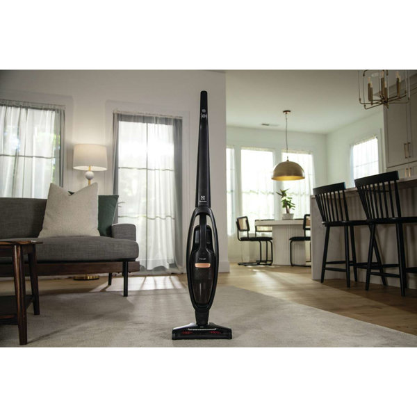Electrolux WellQ7™ Cordless 2-in-1 Stick Vacuum & Reviews | Wayfair