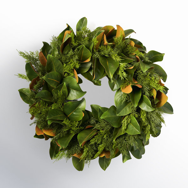 24'' Handcrafted Faux Magnolia Polyethylene Plastic Wreath | AllModern
