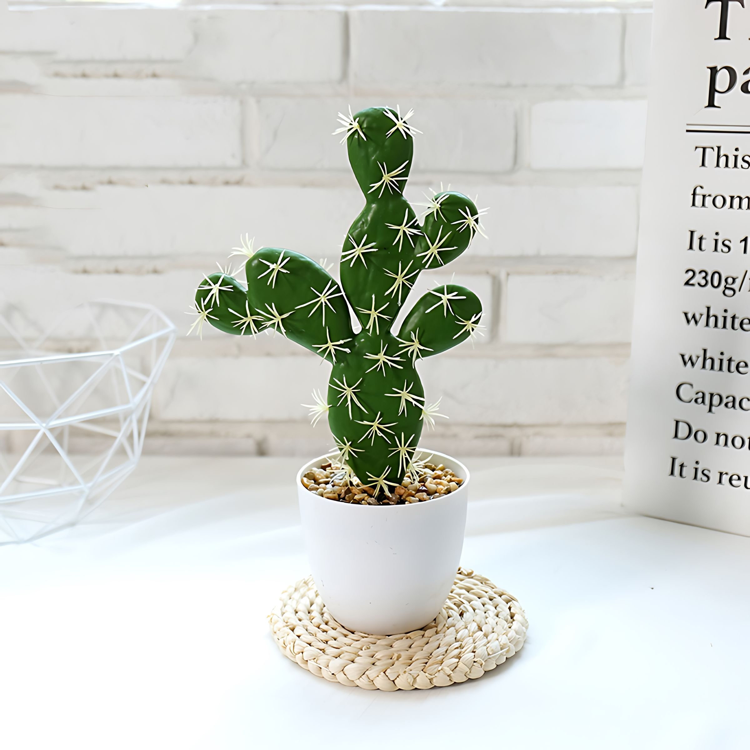 George Oliver Nordic Cactus Succulent Artificial Flower Simulation ...