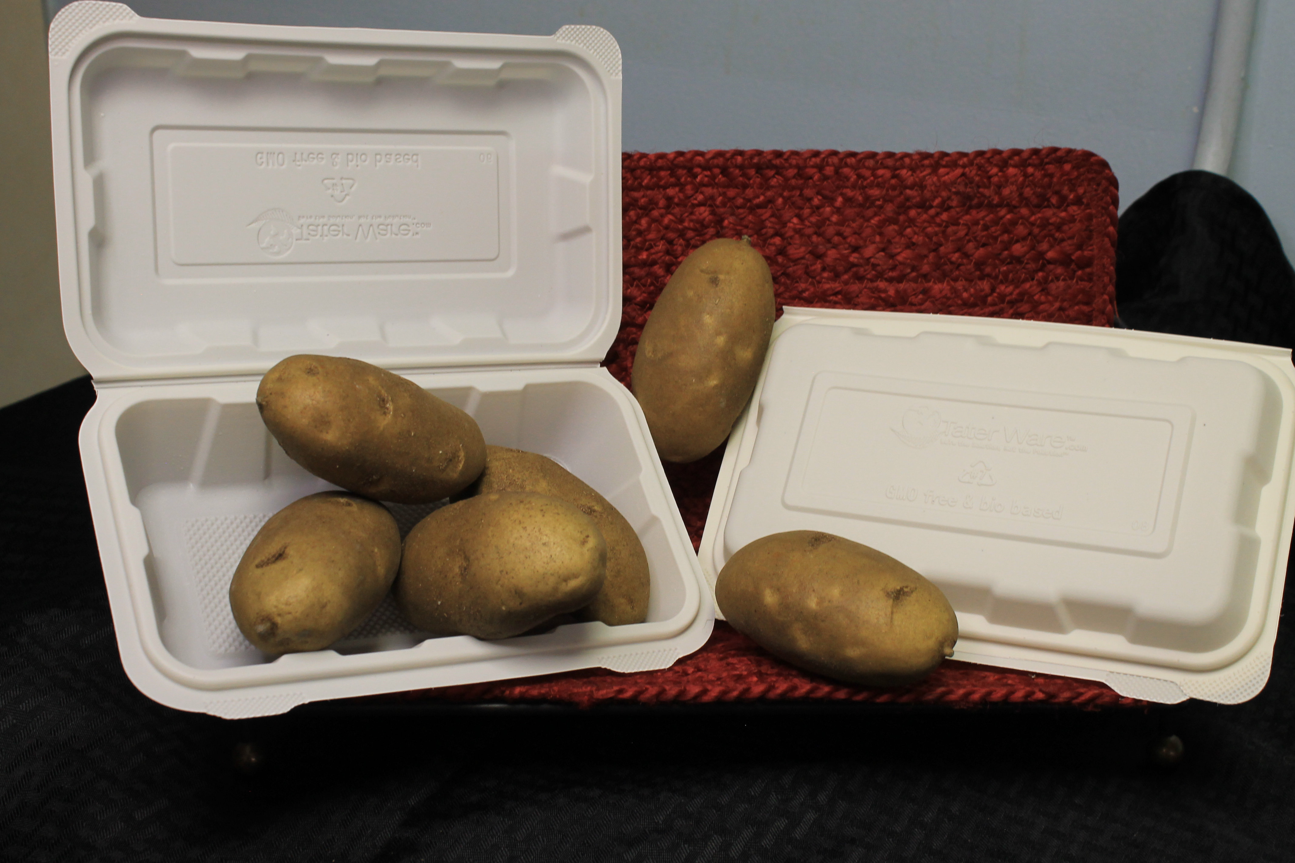 Earth-To-Go PotatoWare™ 1-Compartment Clamshell | Wayfair