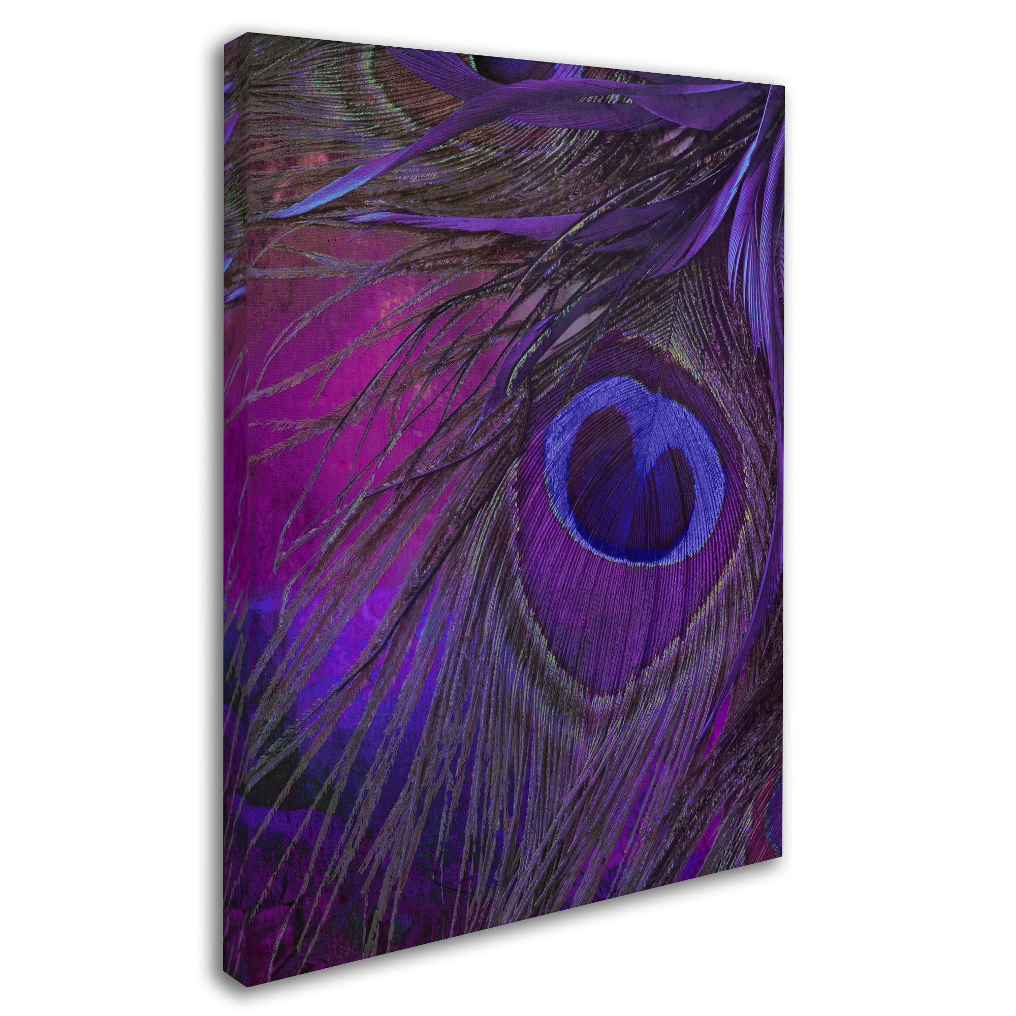 Trademark Fine Art 'Peacock Candy IV' by Color Bakery Graphic Art on ...