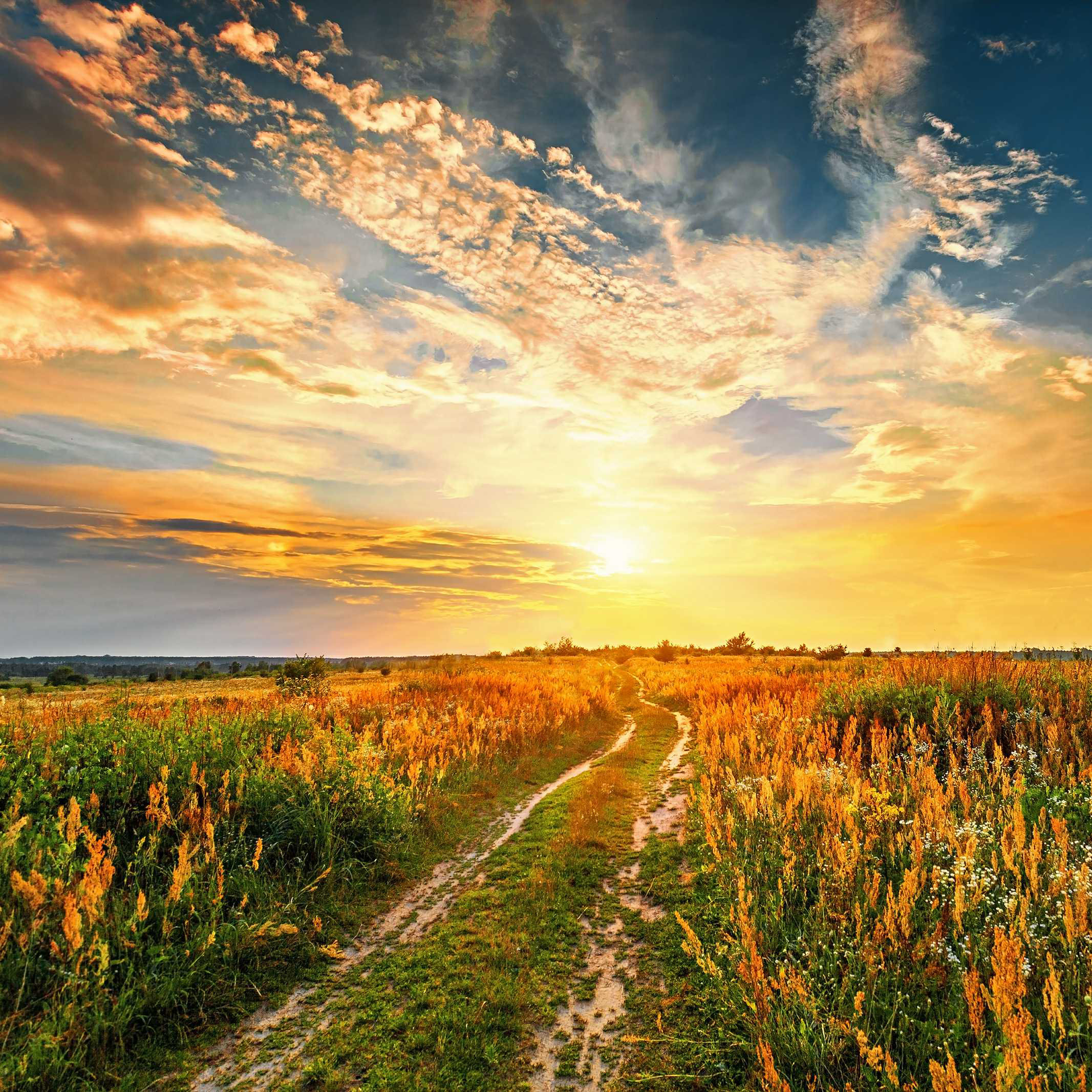 Ebern Designs Sunset Landscape by Derkien - Wrapped Canvas Photograph ...