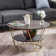Mercer41 Coffee Table - Wayfair Canada