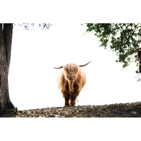 Union Rustic Jomiah Hilltop Highland II - Wrapped Canvas Print | Wayfair