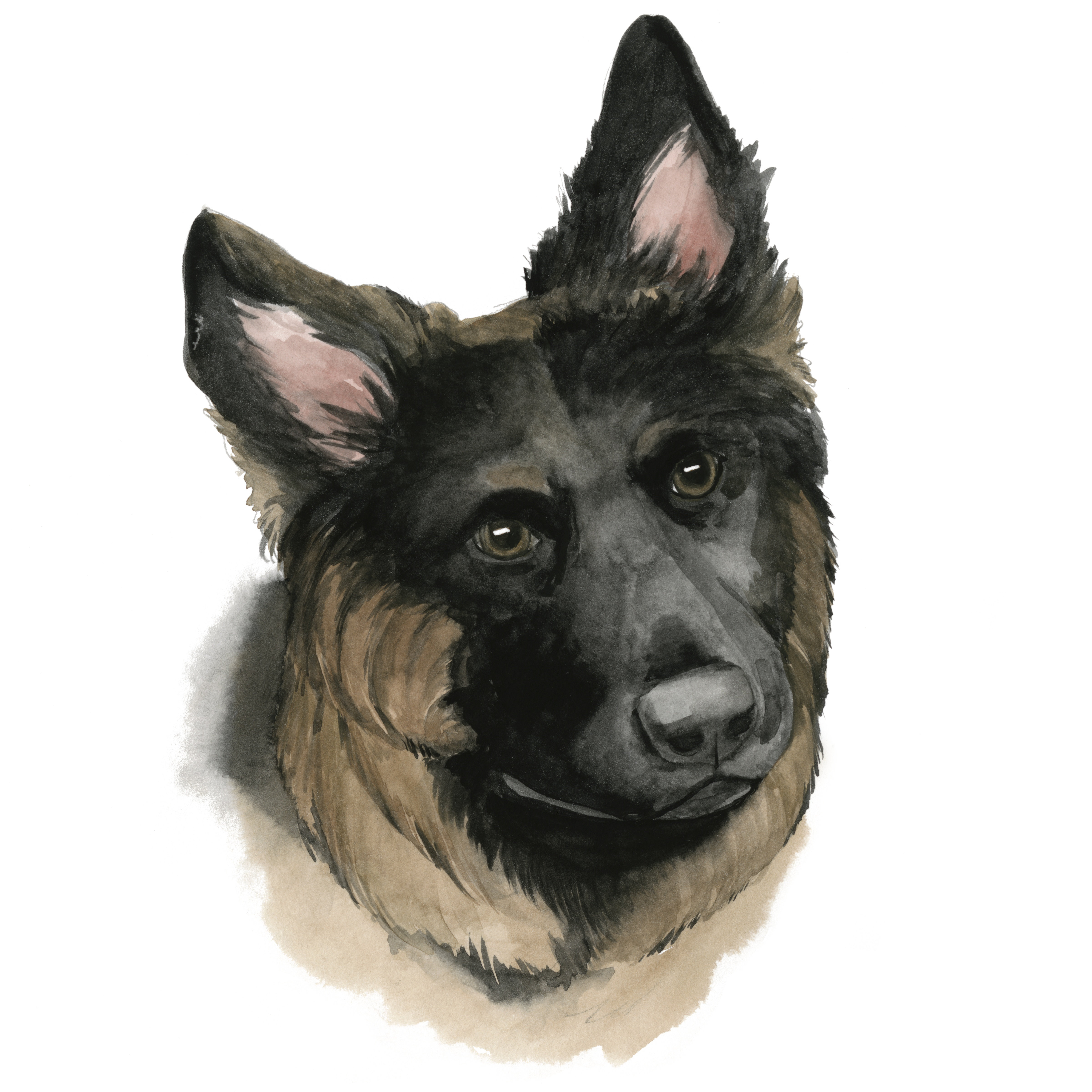 Red Barrel Studio Human's Best Friend II - Wayfair Canada