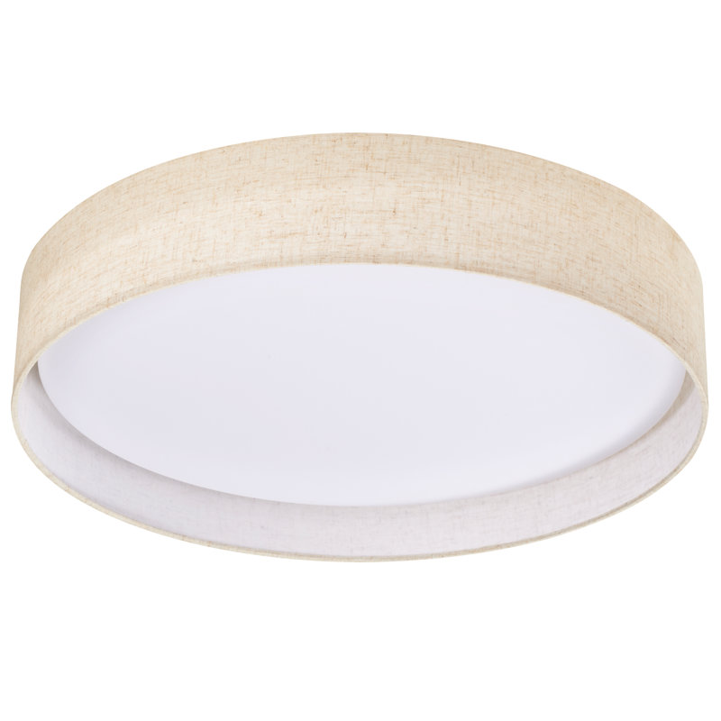 Wrought Studio™ Ledja 20 inch Flush Mount Ceiling Light Dimmable ...