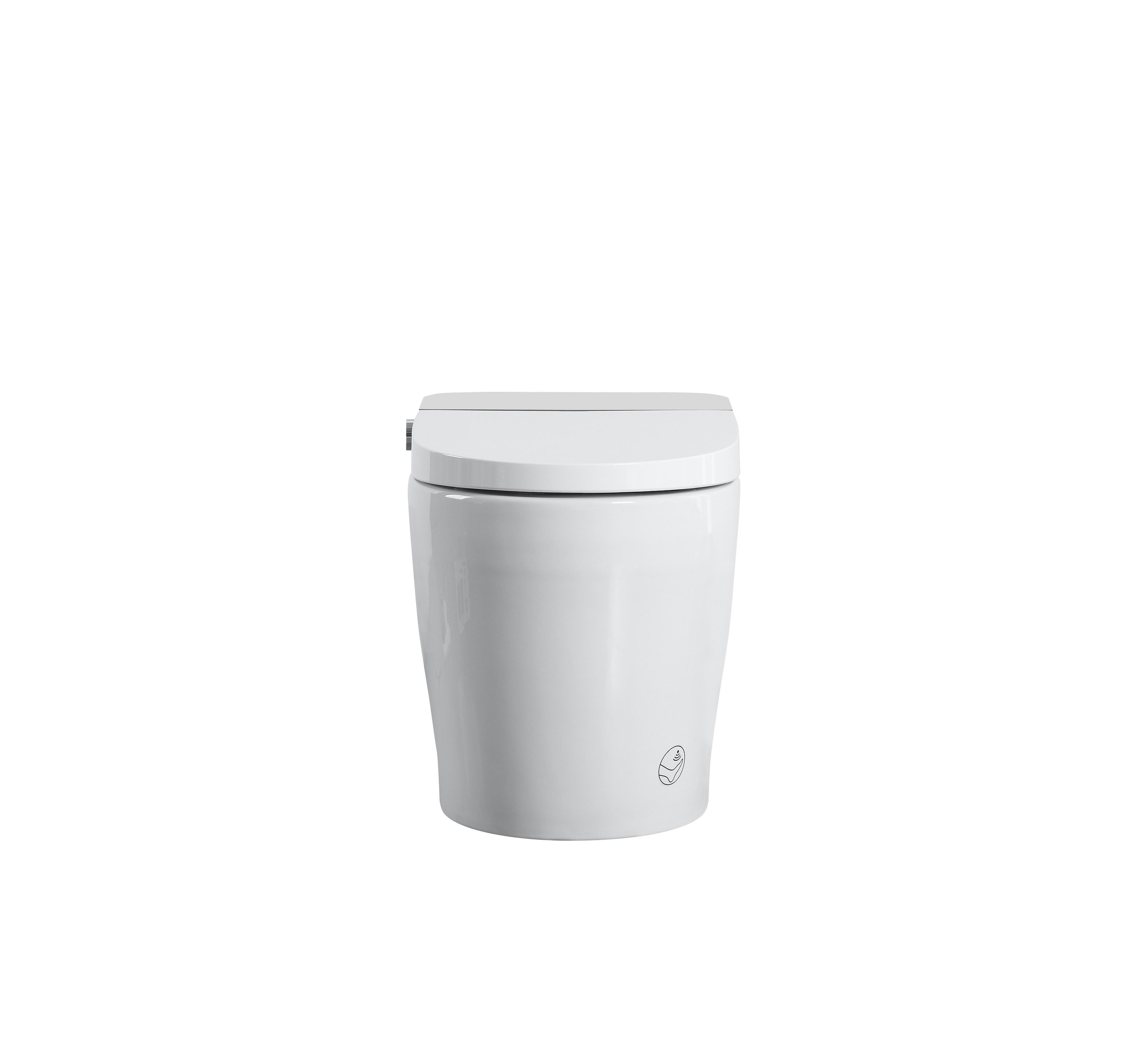 grffinhome Tankless Smart Toilet With Bidet Built In, One-Piece Bidet ...