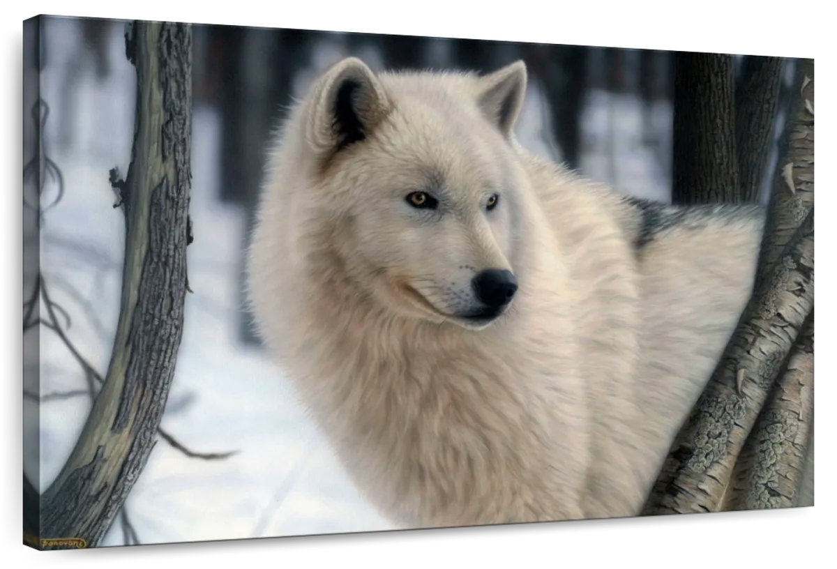 Breakwater Bay Arctic Prince Arctic Wolf - Wayfair Canada