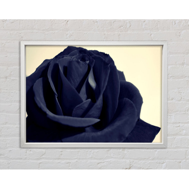 Bright Star Black Blue Rose - Single Picture Frame Art Prints on Canvas ...