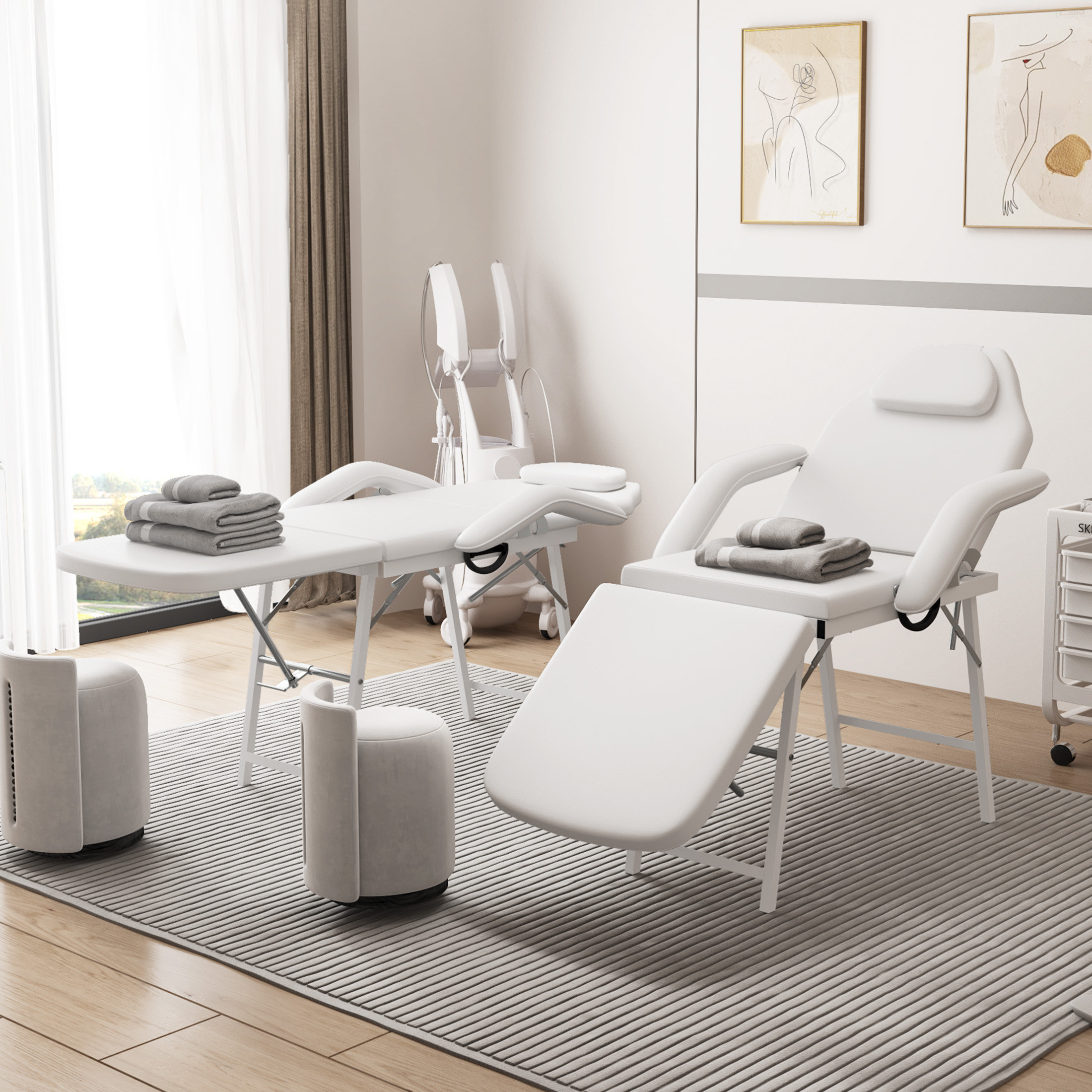 Alwyn Home Foldable Massage Table With Portable Bag For Professional ...