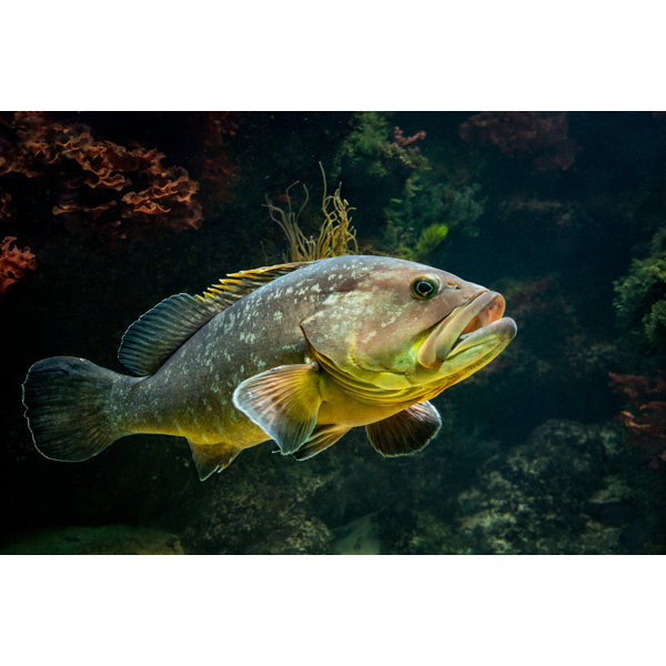House of Hampton Grouper at entrance to cave | Wayfair.co.uk