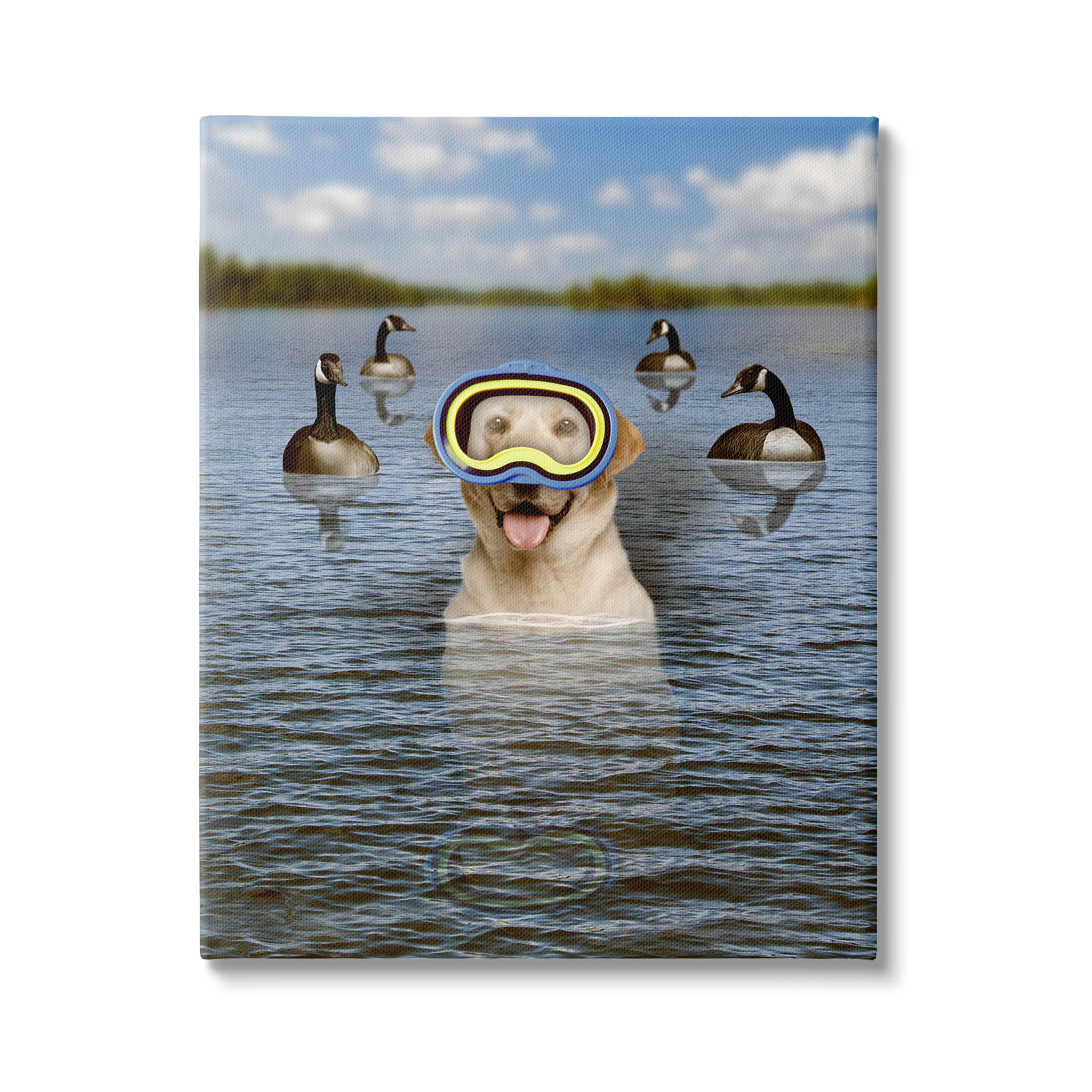 Stupell Industries Funny Dog Goggles Swimming Bay Canvas Wall Art By ...