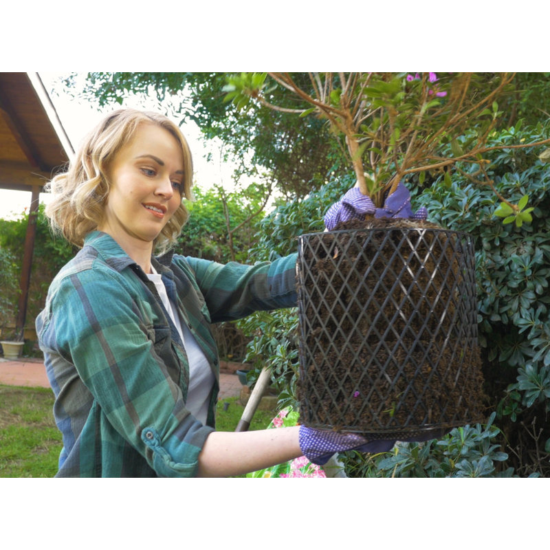 Root Armor Gopher and Mole Root Barrier 4 Piece Plant Support Set ...