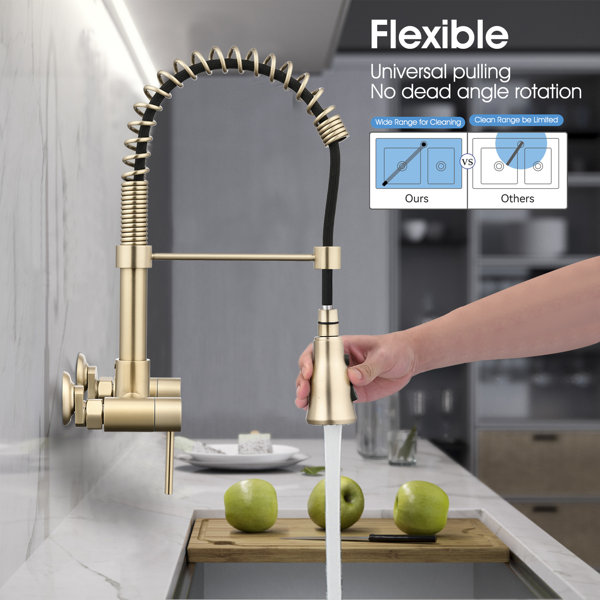 VANITYFAIR Pull Down Kitchen Faucet & Reviews | Wayfair