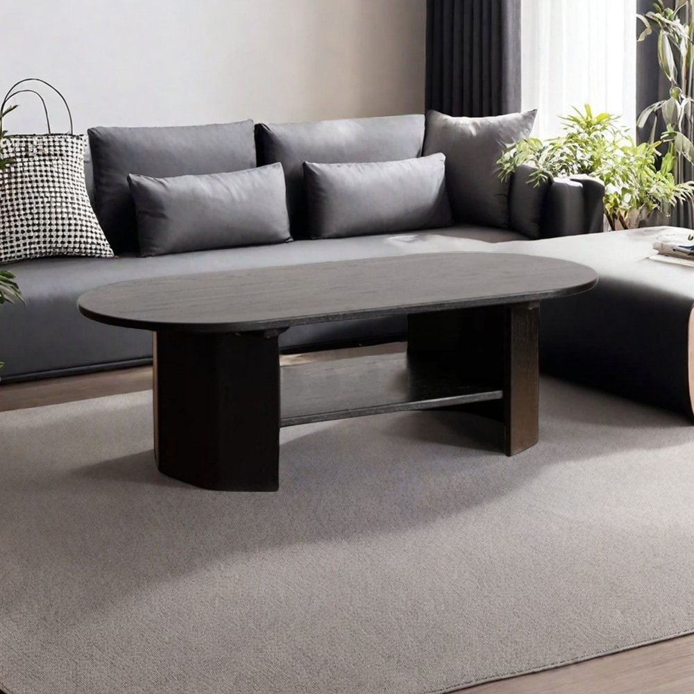 Trentastic Trails Modern Style Oval Coffee Table with Large Capacity ...