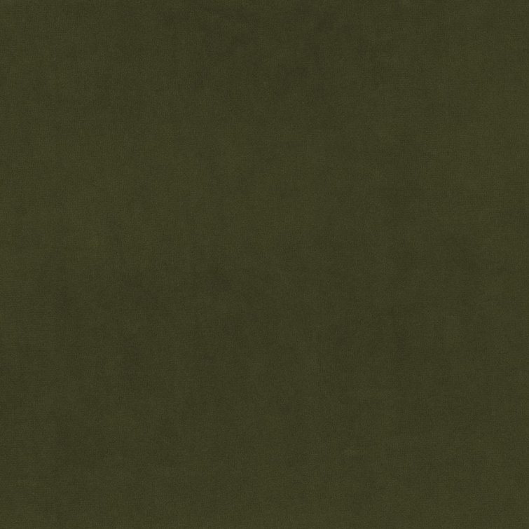 RM Coco Marquee Velvet Fabric | Wayfair