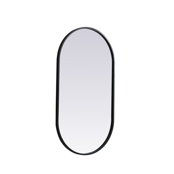 RE/FINE™ Sabine Metal Pill Wall Mirror & Reviews | Wayfair