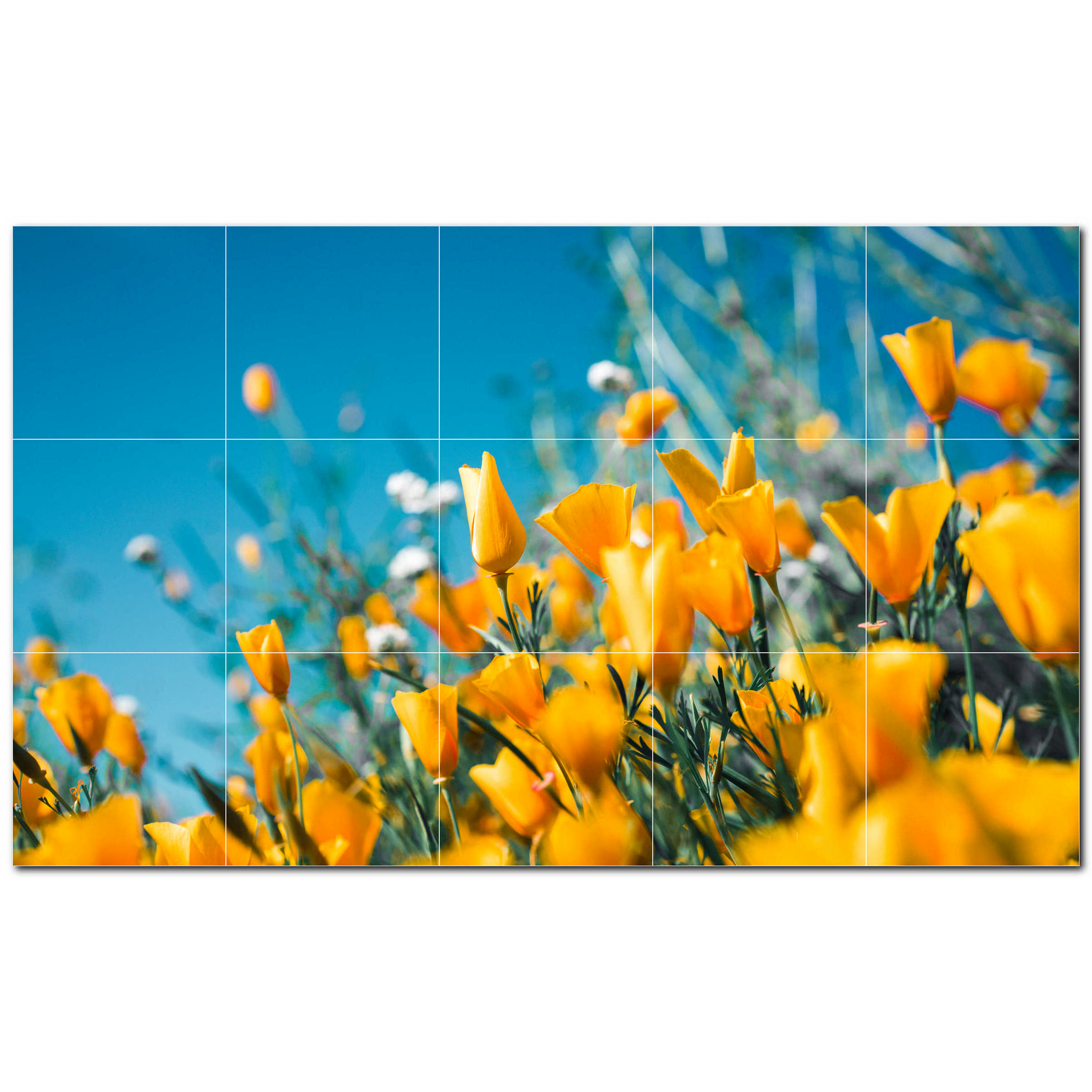 Picture-Tiles.com 30" x 18" Ceramic Spring Photo Decorative Mural Tile ...