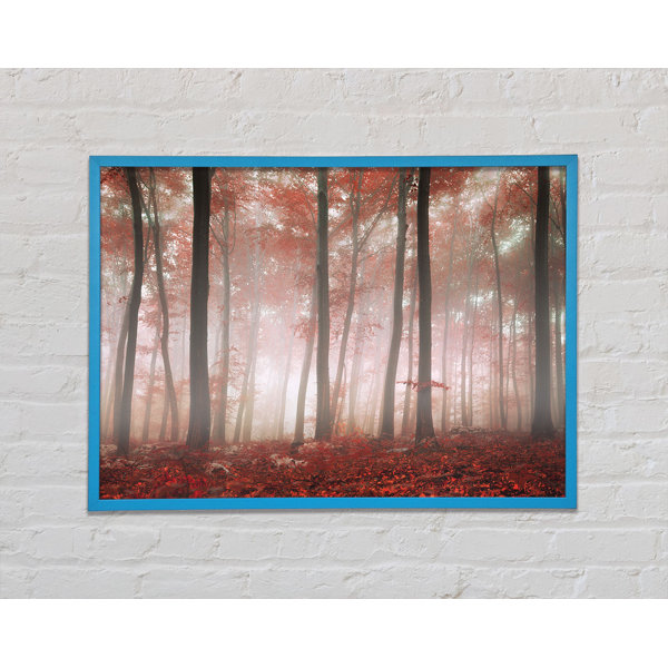 Union Rustic Red Misty Woods by Unkown - Single Picture Frame Art ...