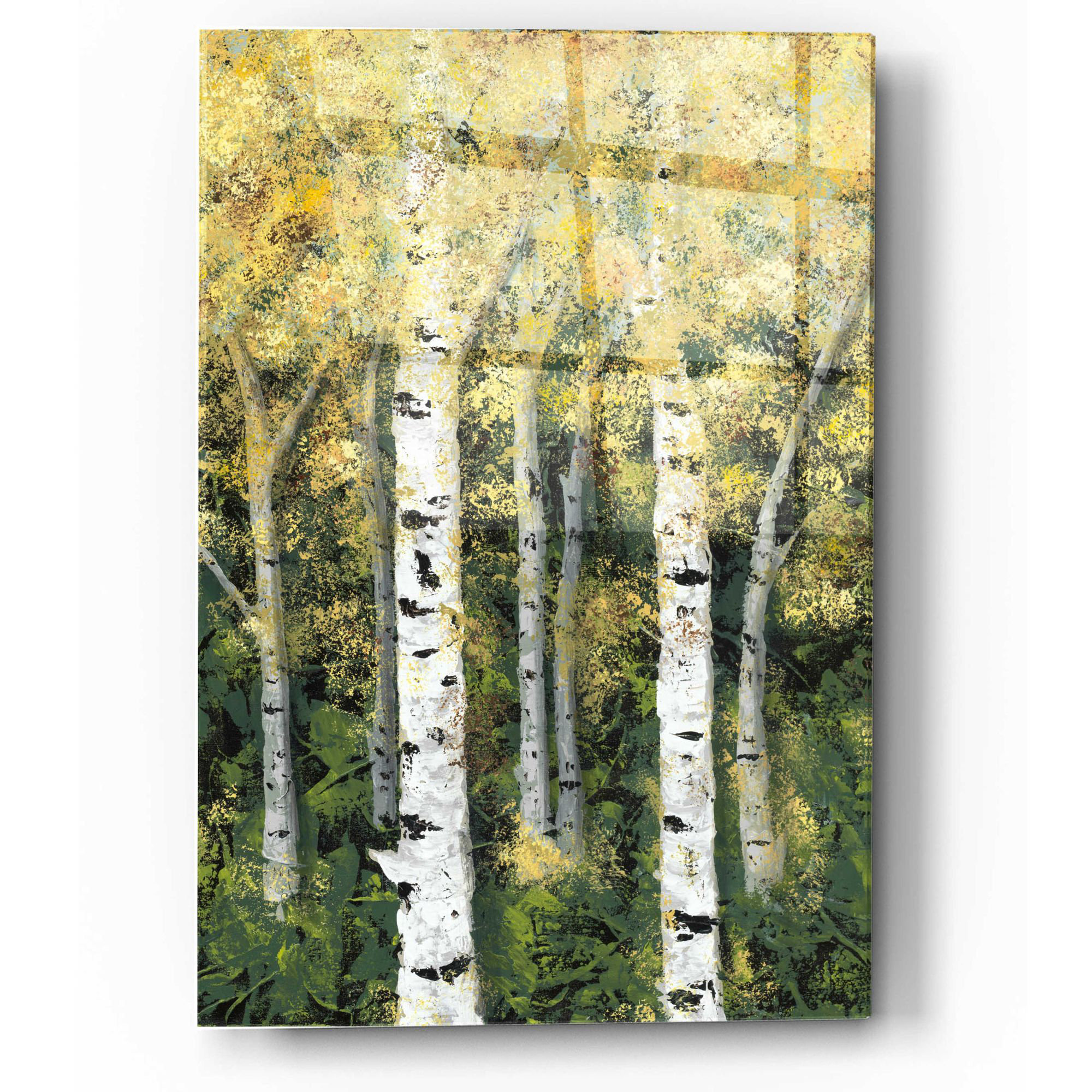 Millwood Pines Biridiana Birch Treeline II by Jade Reynolds | Wayfair