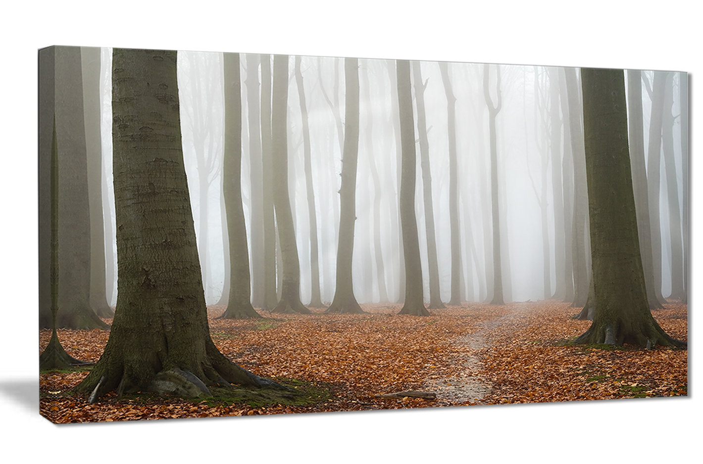 Design Art Misty Autumn Beech Forest - Wrapped Canvas Photograph Print ...