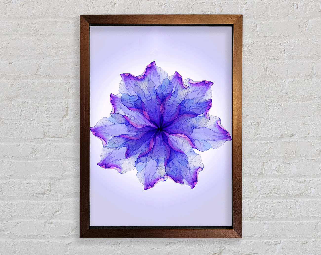 Bright Star Whisper 1 - Single Picture Frame Art Prints | Wayfair.co.uk