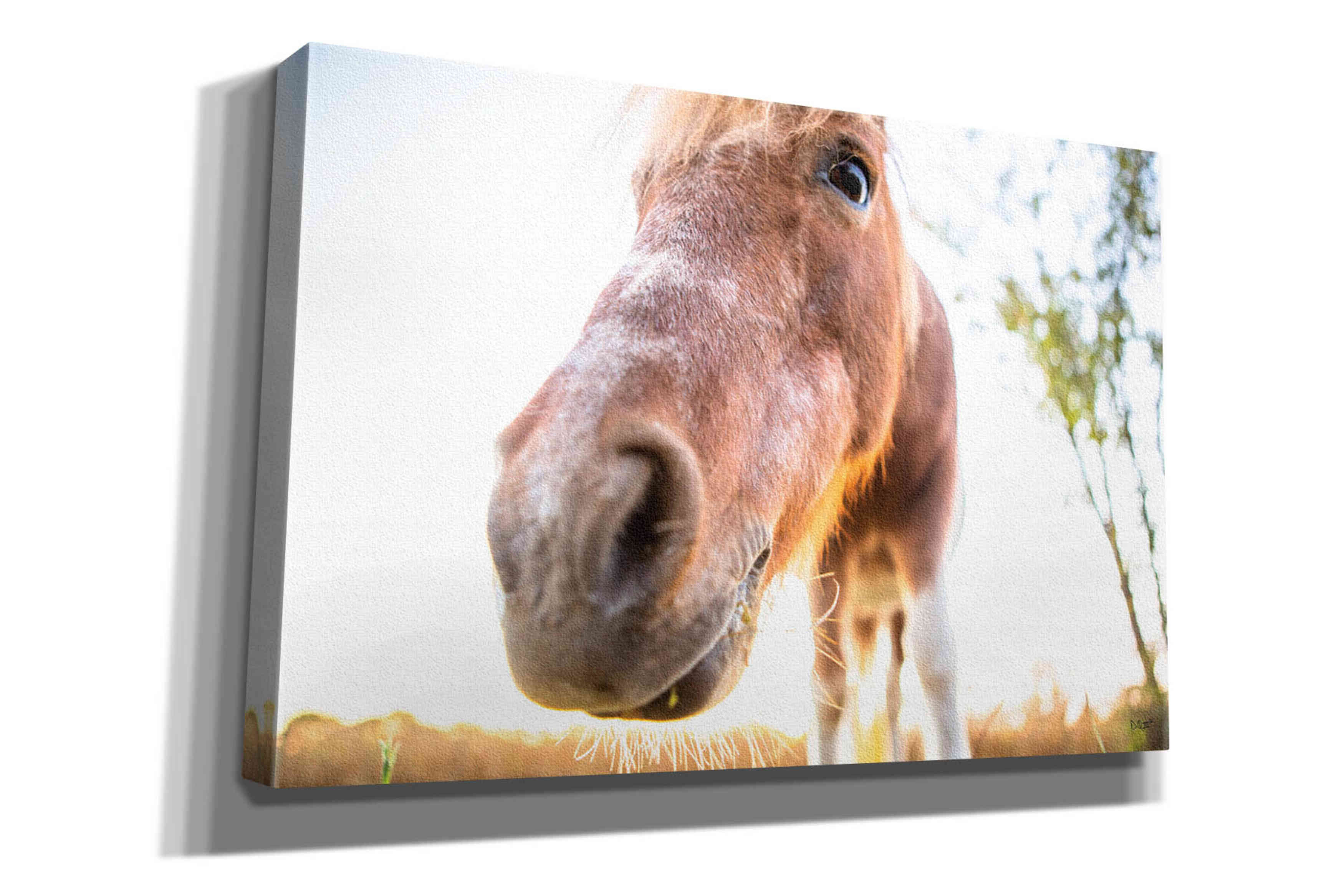 August Grove Hi Horse by Donnie Quillen - Wrapped Canvas Painting | Wayfair