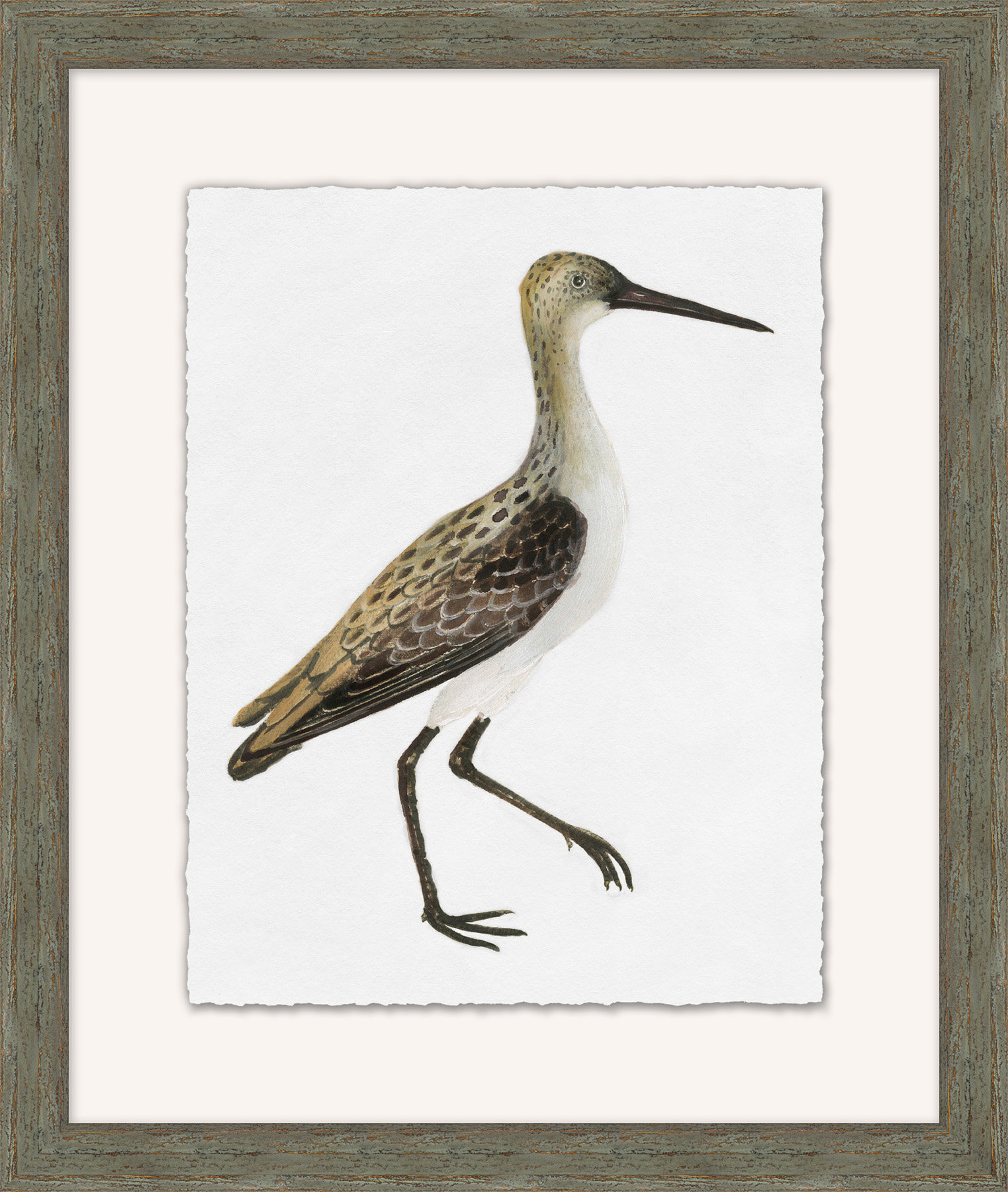 Wendover Art Group Wetland Bird Study 5 - Picture Frame Painting on ...