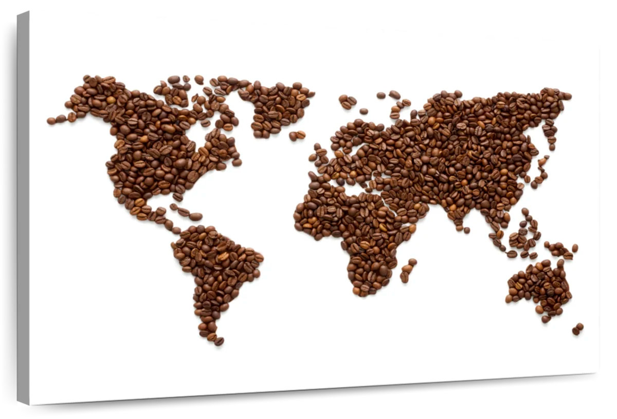 Breakwater Bay Aliaz Coffee Beans World Map | Wayfair