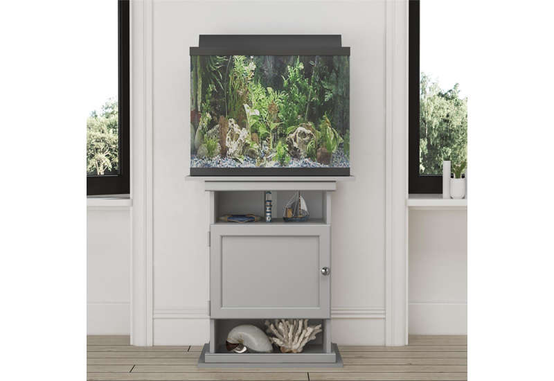 Fish Tank Sizes & Types: How to Choose the Right Aquarium | Wayfair