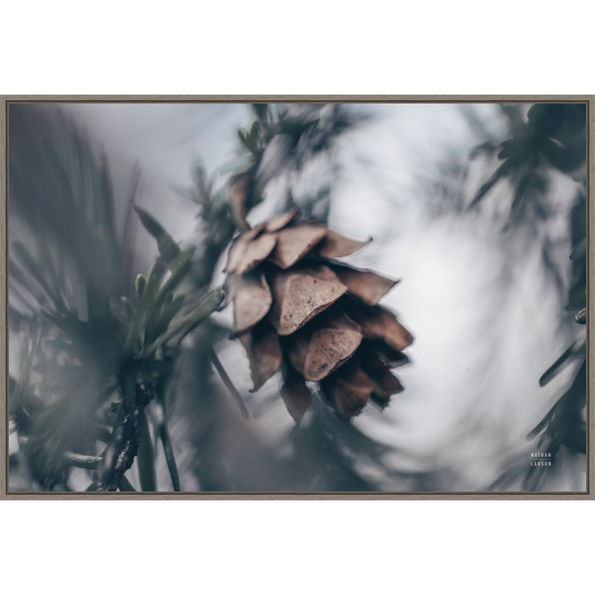 Union Rustic Nathan Larson Tree With Pinecone Macro Framed On Canvas by ...