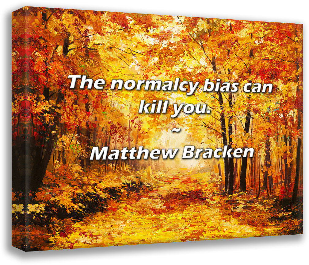 Trinx Matthew Bracken Quote: The normalcy bias can kill you. | Wayfair