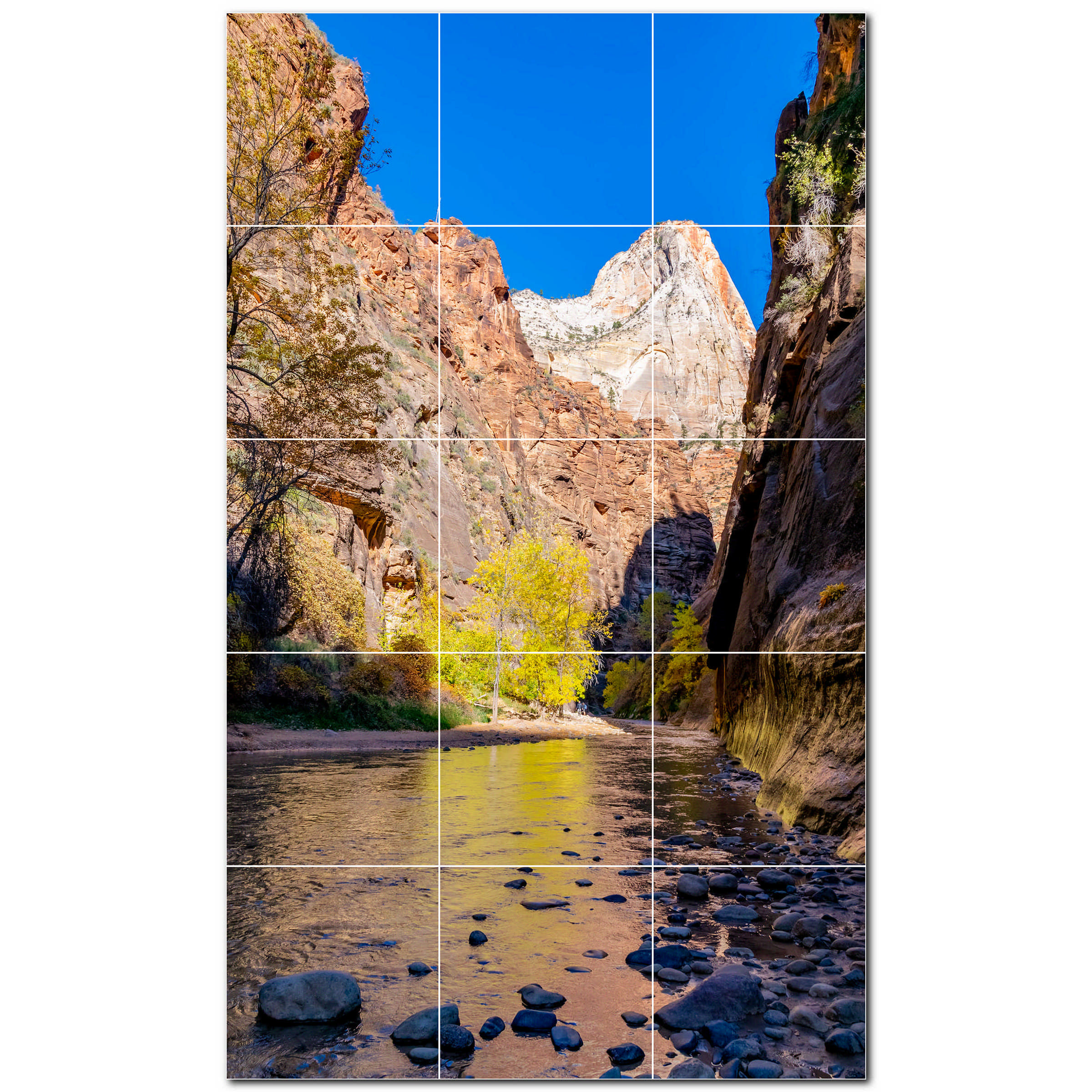 Picture-Tiles.com Canyon Photo 6'' x 6'' Satin Ceramic Decorative Mural ...