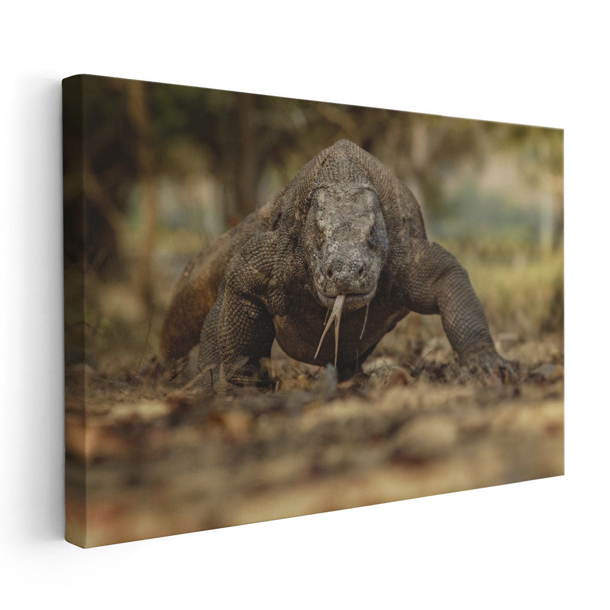 Hokku Designs Komodo Dragon in the Beautiful Nature Habitat - Canvas ...