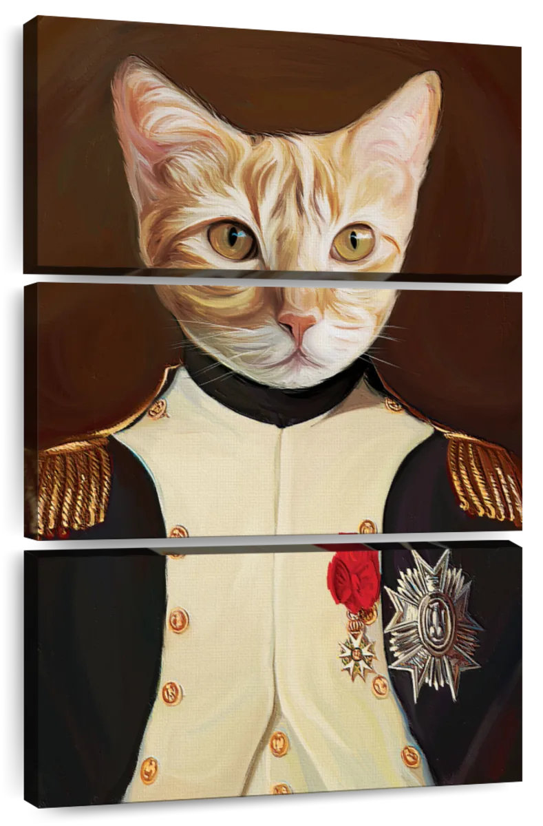 Trinx Ketti Portrait Of Cat Napoleon - Wayfair Canada