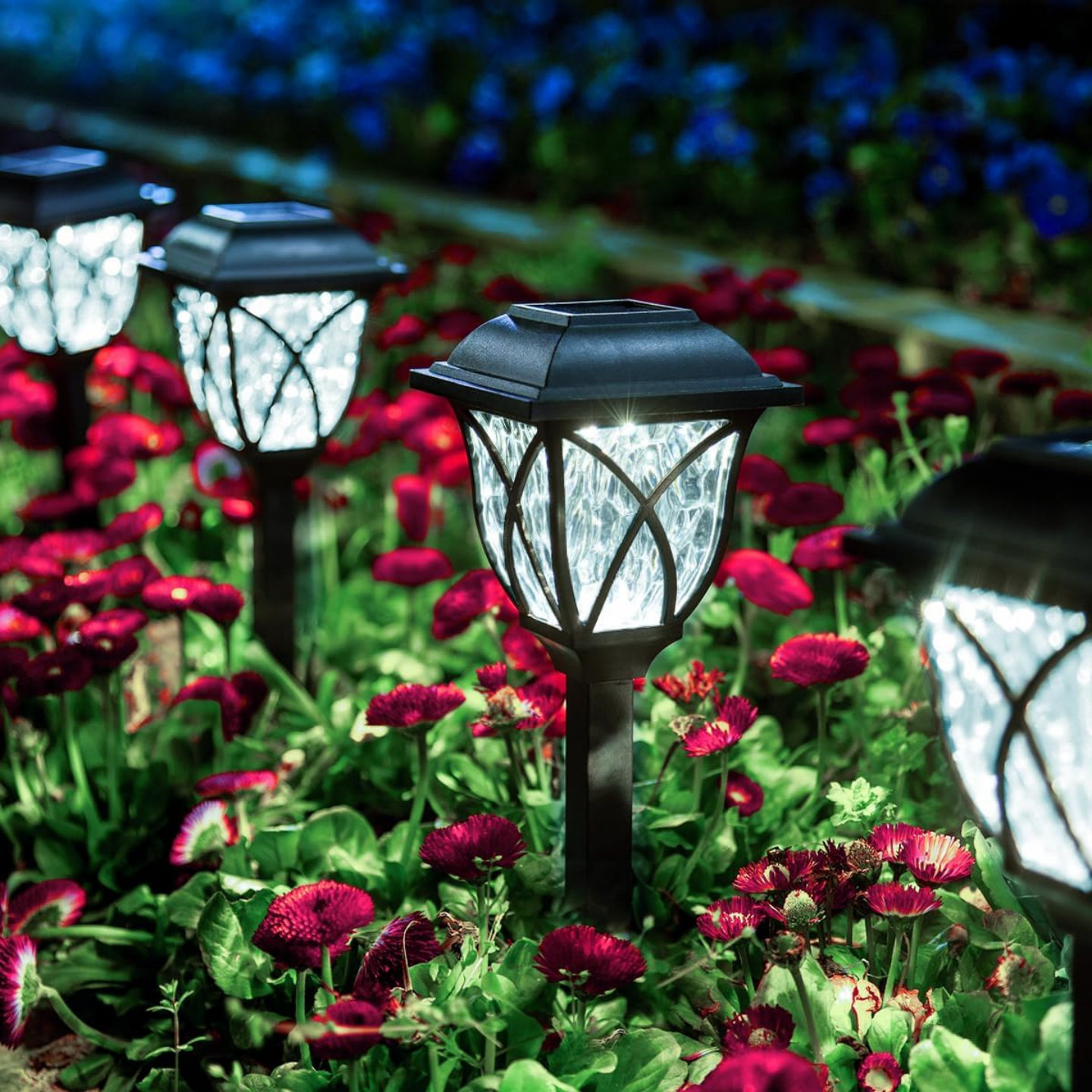 ZENMIT Solar LED Lights Outdoor Waterproof,Outdoor Decorations, Garden ...