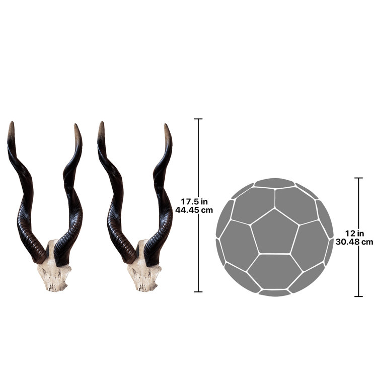 Design Toscano Kudu African Wall Trophies Sculpture Set & Reviews | Wayfair