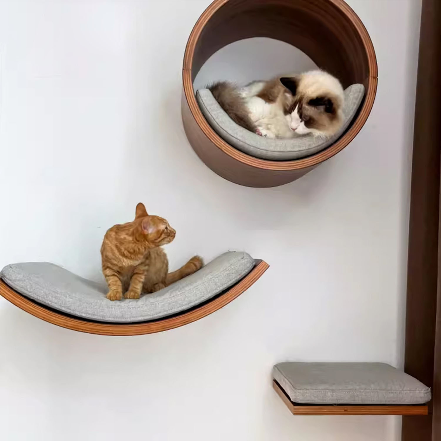 KZLAA High-end Classical Walnut Cat Shelves & Perches，Cat Furniture ...