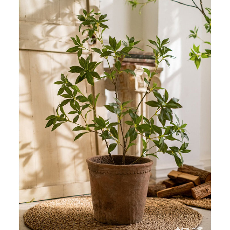 Primrue Gant Artificial Japanese Enkianthus Tree & Reviews | Wayfair