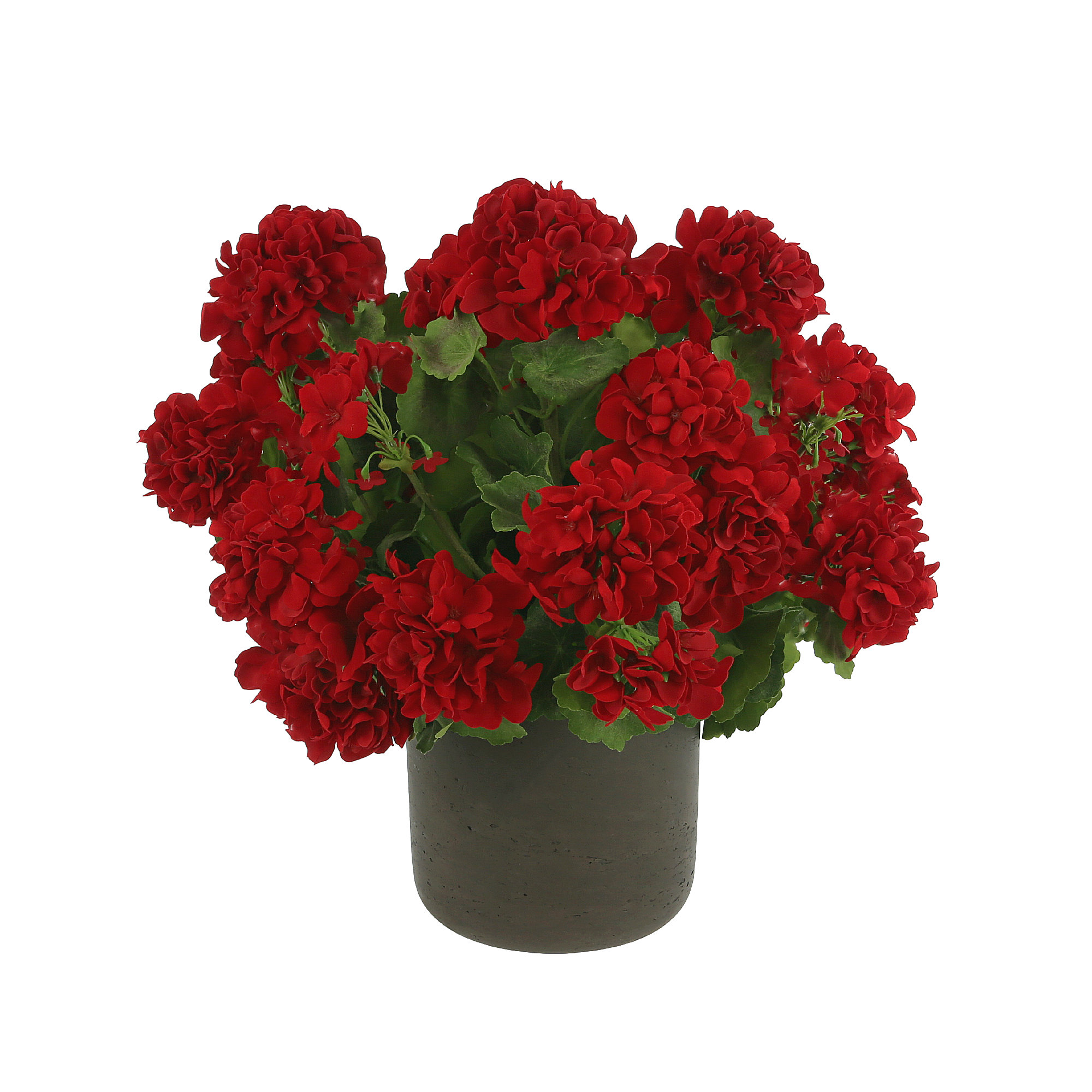 Creative Displays, Inc. Geranium Centerpieces in Pot | Wayfair