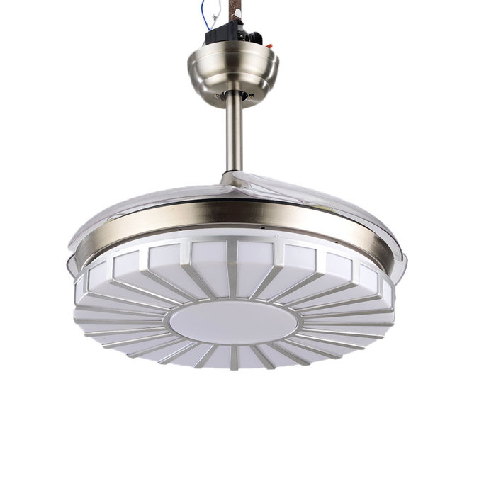 Mercer41 Celsie 42" Ceiling Fan with LED Lights & Reviews | Wayfair