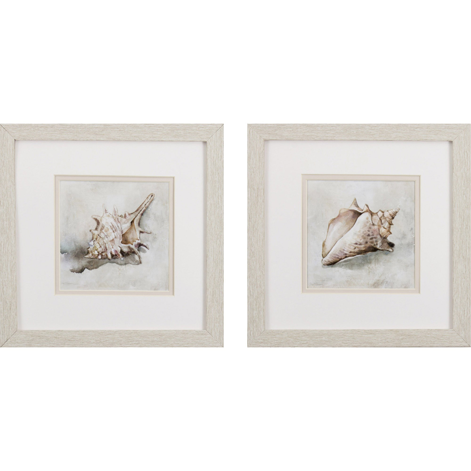 HomeRoots Conch Shell - 2 Piece Picture Frame Painting Set | Wayfair