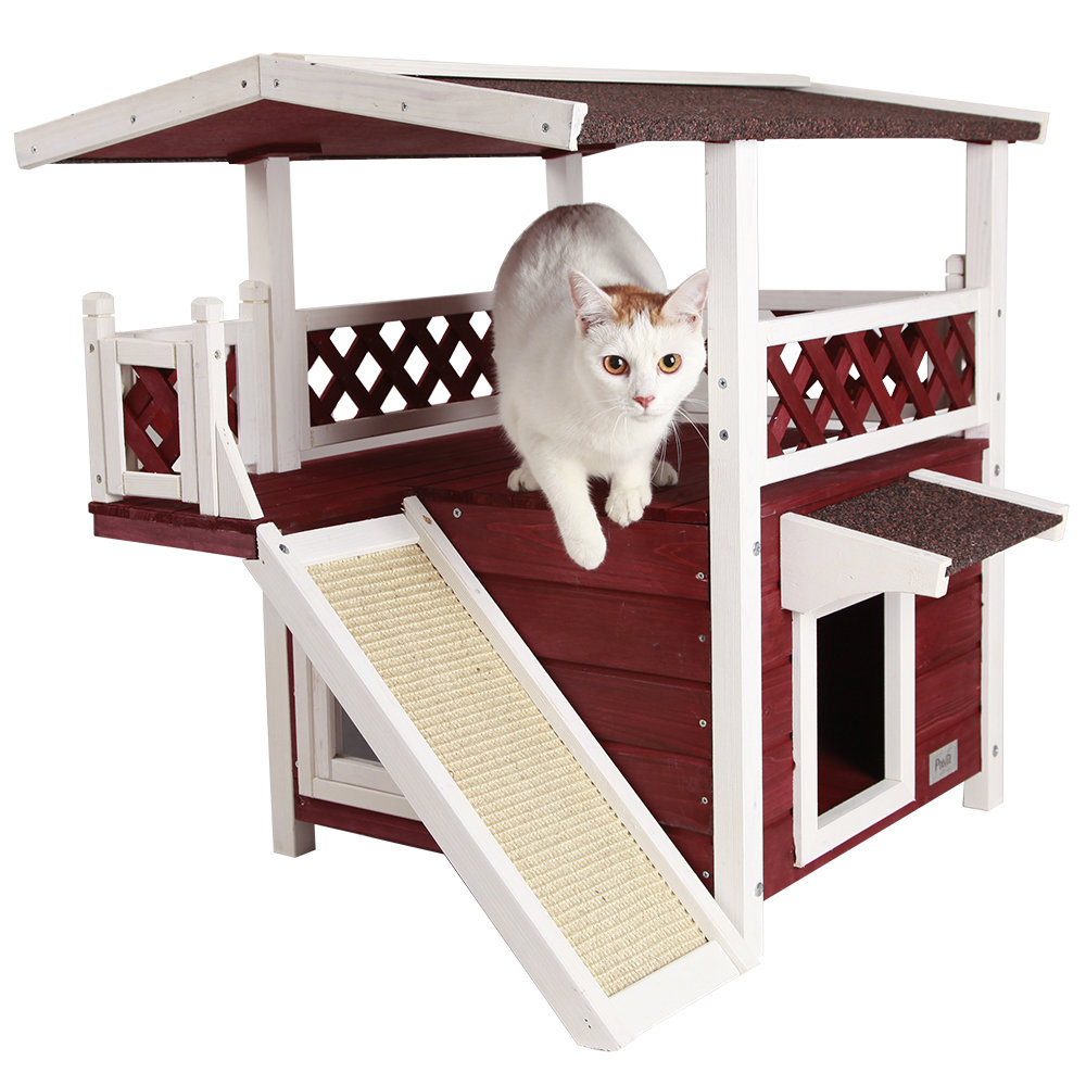 Petsfit Outdoor/Indoor Cat House | Wayfair