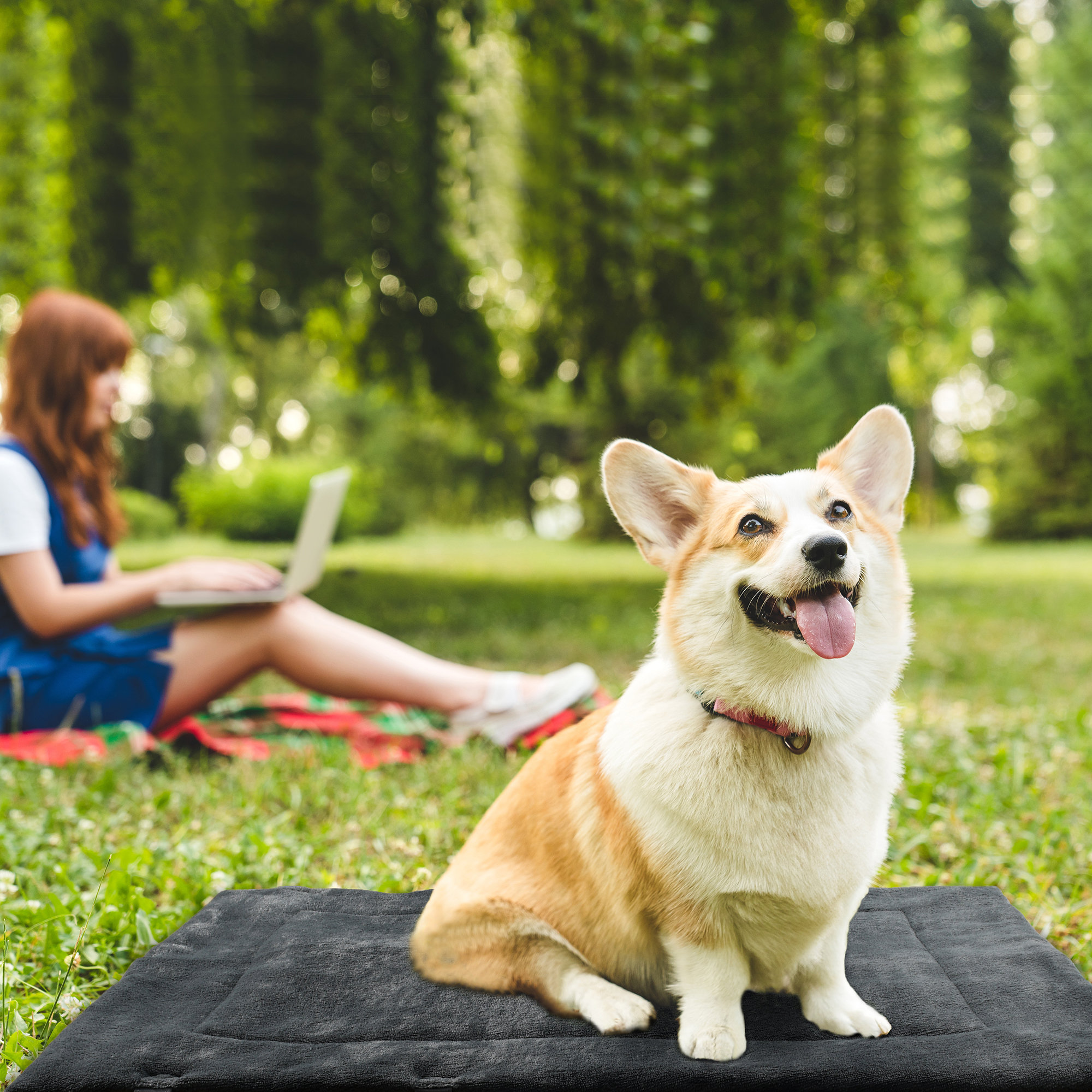 Catalonia Reversible Waterproof Dog Bed Pad, Portable Car Seat Pet ...