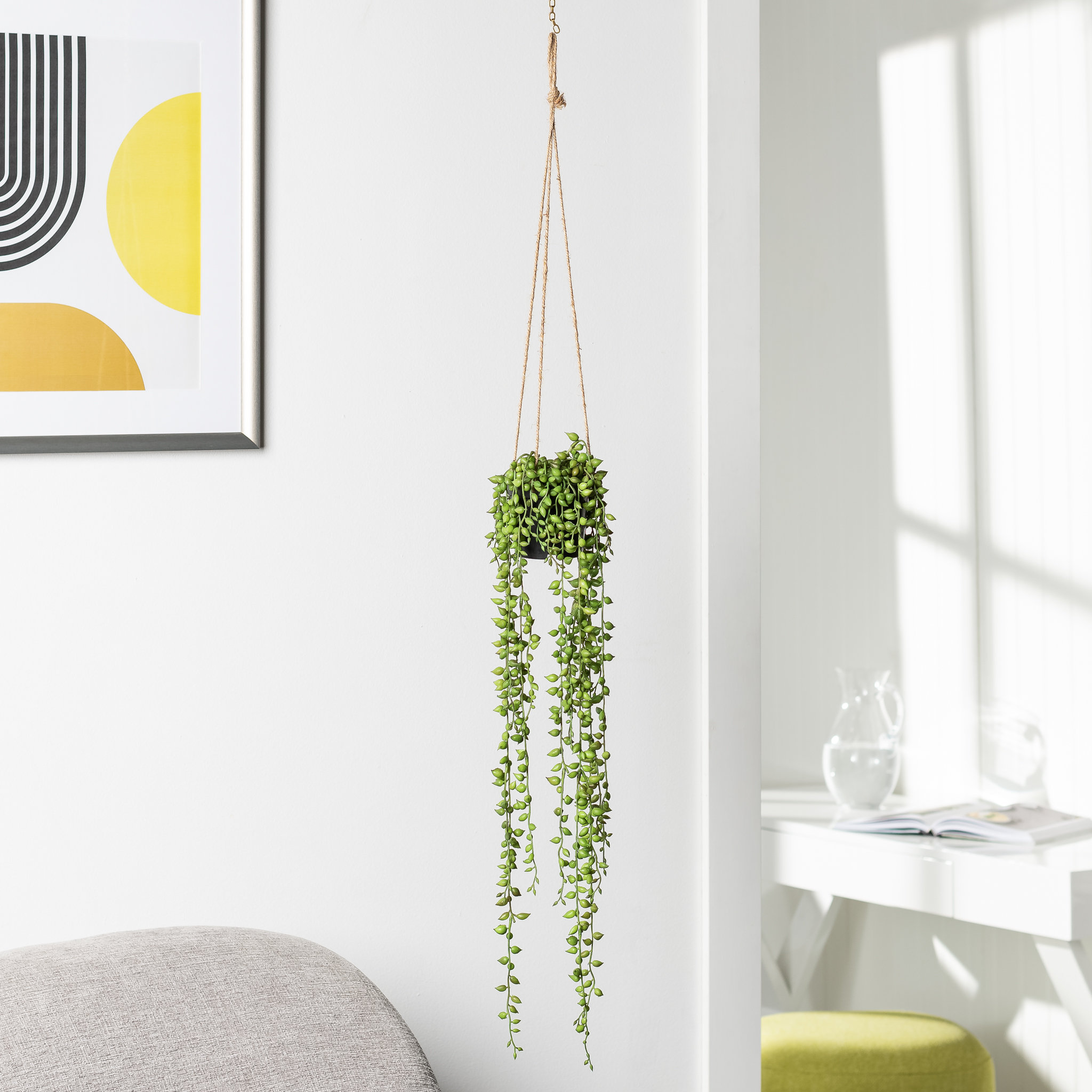 Primrue Hanging String of Pearls Plant in Pot with String Hanger ...