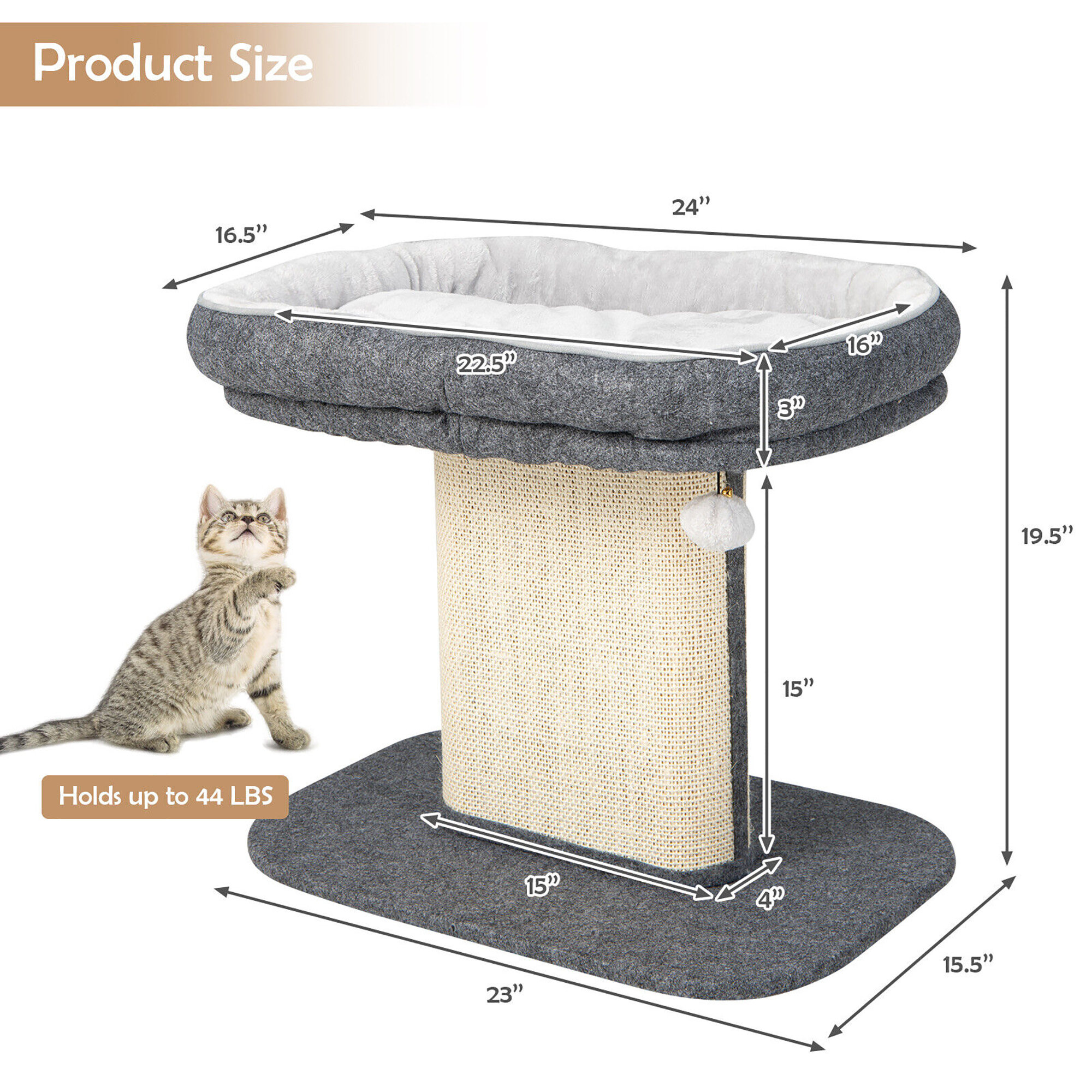 Tucker Murphy Pet™ 20" Alexzia Perch & Reviews | Wayfair
