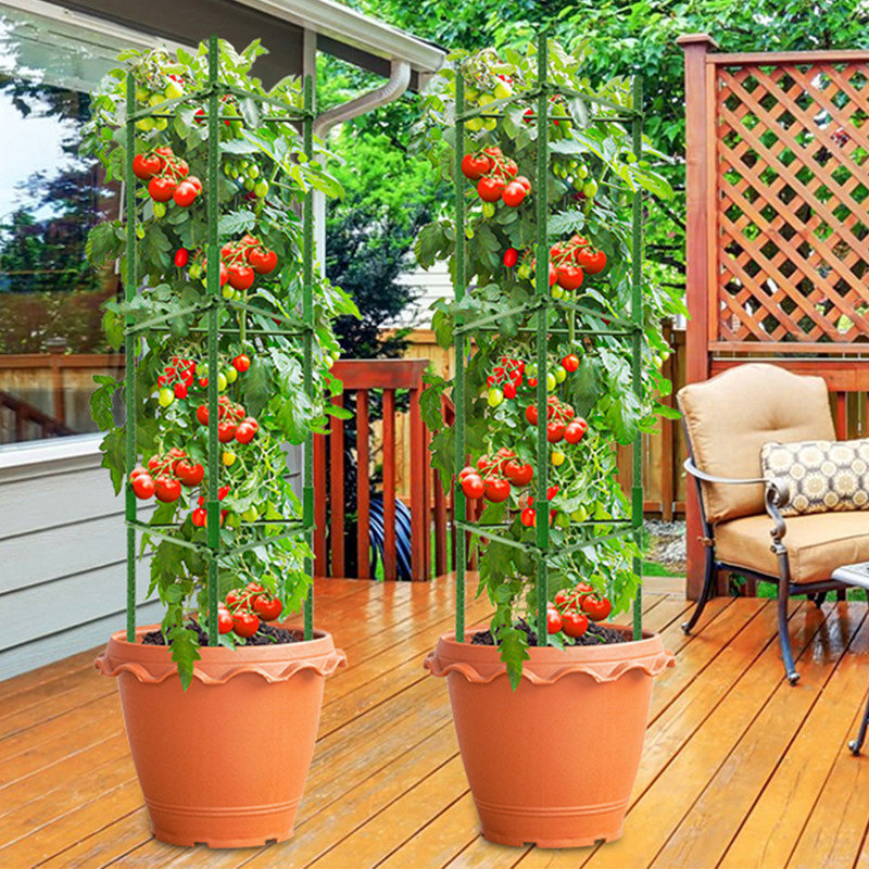 Latitude Run® 6 Pack 5.2 FT Tomato Cages for Garden- 63inches Tomato ...