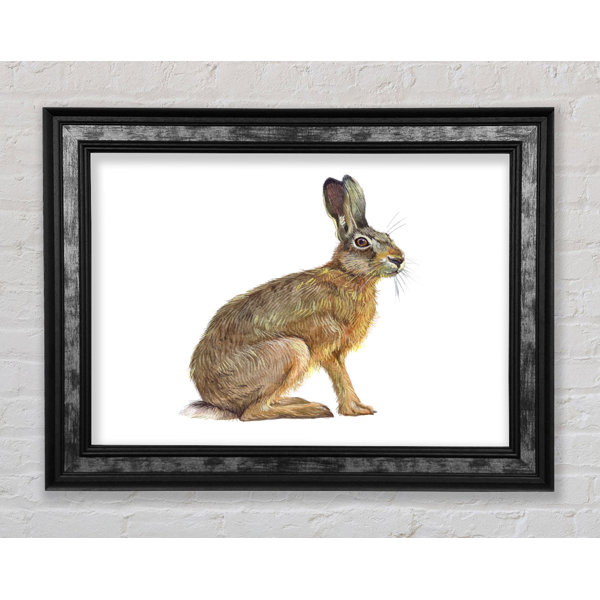 Bright Star The Hare Alone - Single Picture Frame Art Prints | Wayfair ...